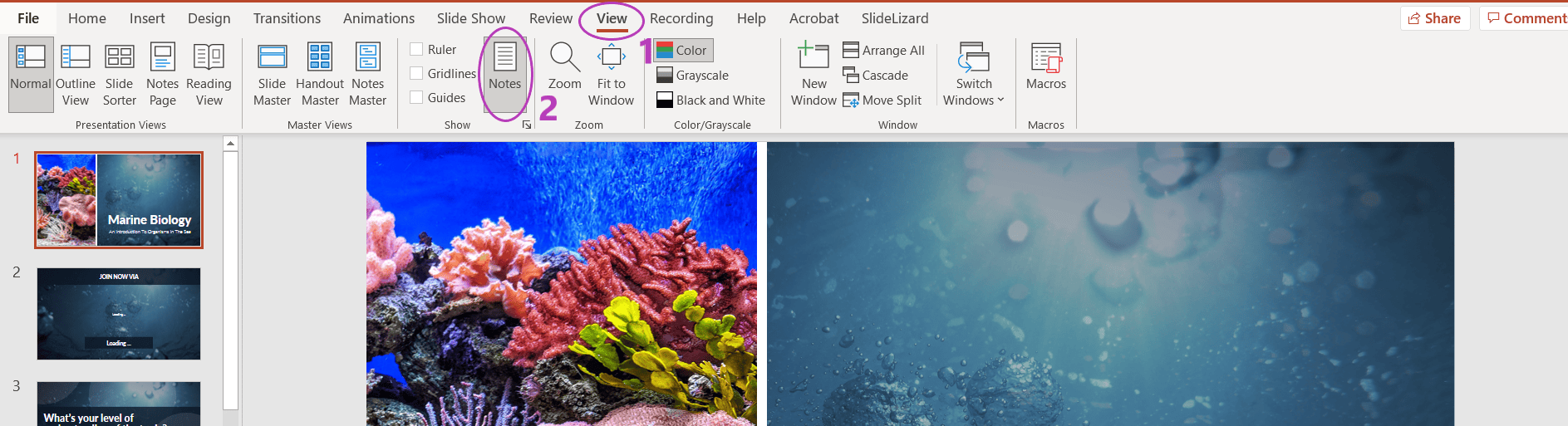 How To Make Print Notes In PowerPoint 2022 SlideLizard 